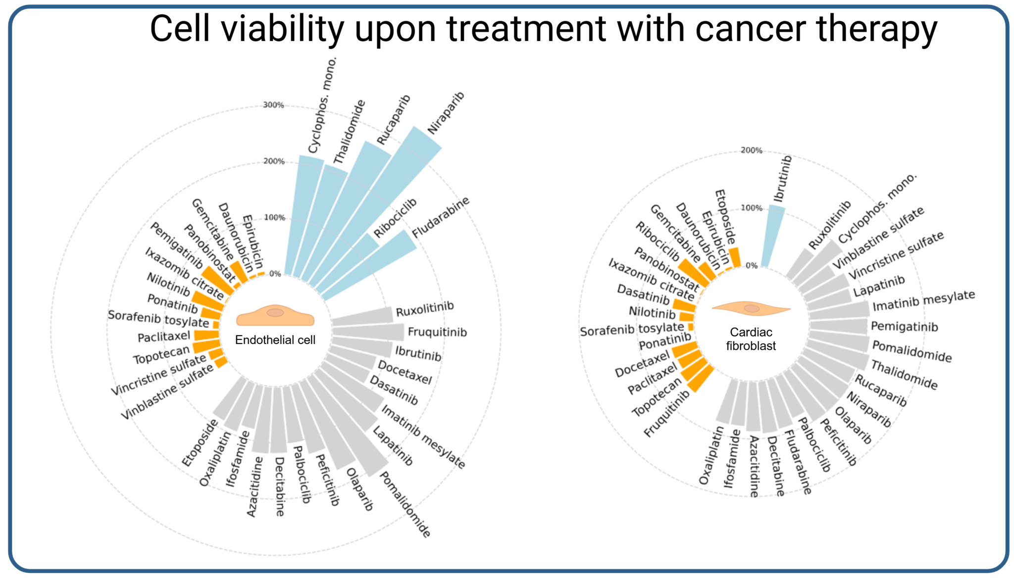 Meijers Group – Cardio-Immuno-Oncology