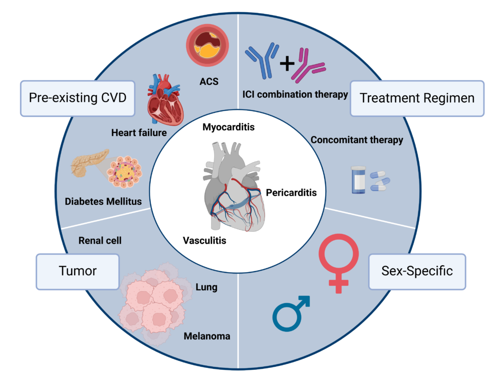 Meijers Group – Cardio-Immuno-Oncology